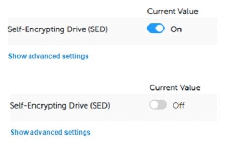 Dell Encryption Removal Considerations And Best Practices Dell United Arab Emirates
