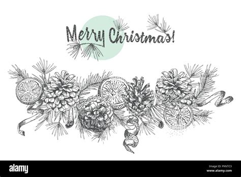 Realistic Botanical Ink Sketch Of Fir Tree Branches With Pine Cone Isolated On White Background