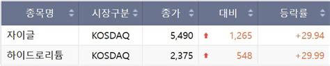 급등락주 짚어보기 자이글 2거래일 연속 ‘上하이드로리튬 배터리 사업 기대감