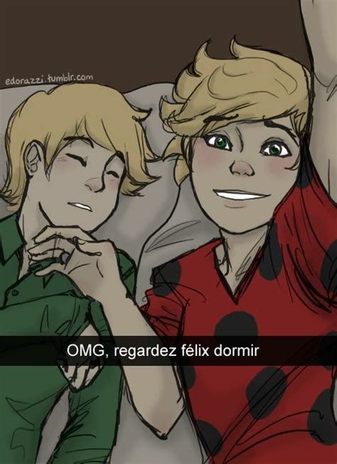 Adrien And Felix Miraculous Ladybug Memes Miraculous Ladybug
