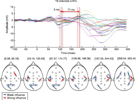 Temporal Evolution Of Causal Interactions Resulting From Pgc Erp In
