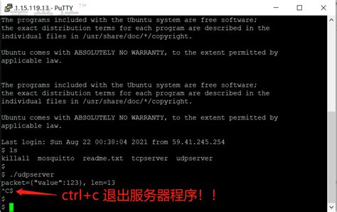 使用UDP与私有服务器通信