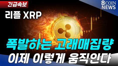 리플 긴급속보 폭발하는 고래 매집량 이제 이렇게 움직인다 Youtube