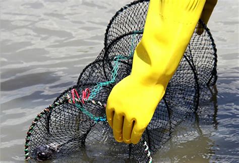 70x130cm Spring Fishing Trap Net Deep Sea Catch Fishing Net For Usa Buy Crab Trap Nets Fishing