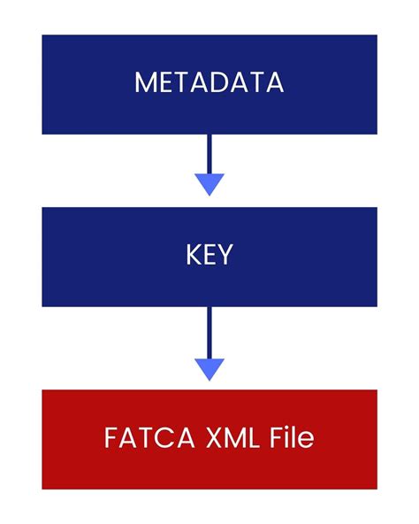 Complete Fatca Xml Package Self Reporting Opes Software