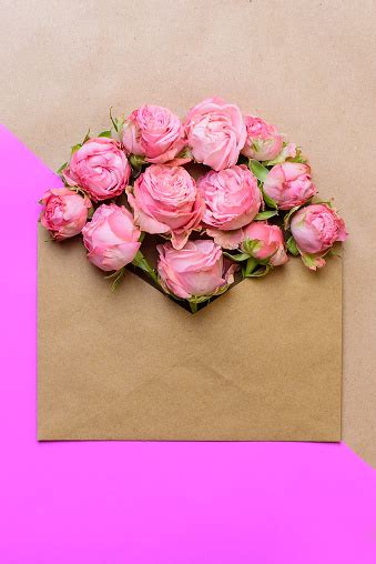 분홍색 배경에 분홍색 장미가 있는 봉투 결혼식 생일 어머니의 날 발렌타인 데이와 함께 축하합니다 0명에 대한 스톡 사진 및 기타 이미지 Istock