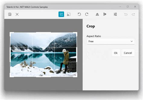 Net Maui Imageeditor Library Telerik Ui For Net Maui