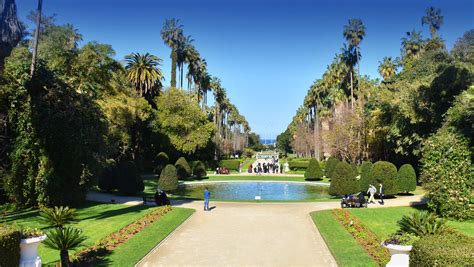 Lupine Travel Algeria Holidays And Tours