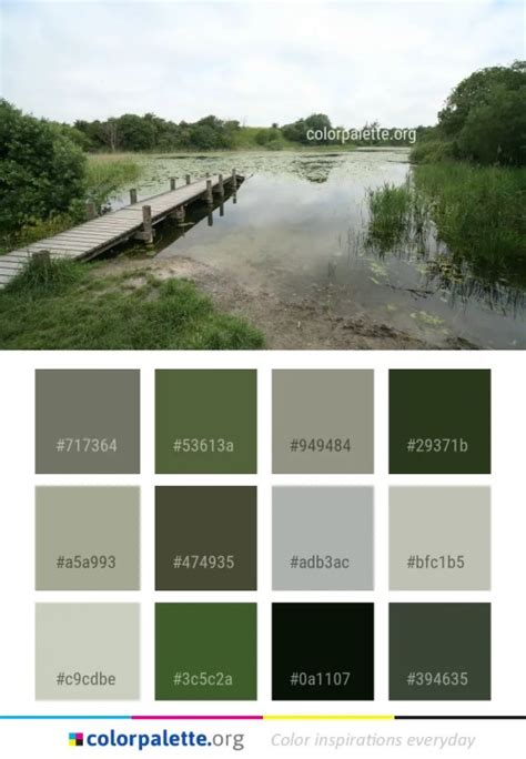 Bird Nest Color Palette Bird Nest Color Palette