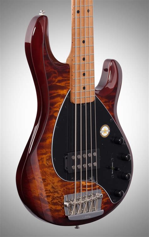 Bass Guitar 5 Strings At Mae Kimbrell Blog