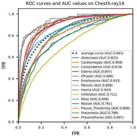 diagnostics free full text high resolution network with dynamic