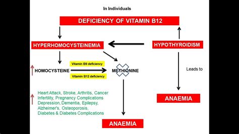 Effects Of Deficiency Of Vitamin B12 31may23 Youtube