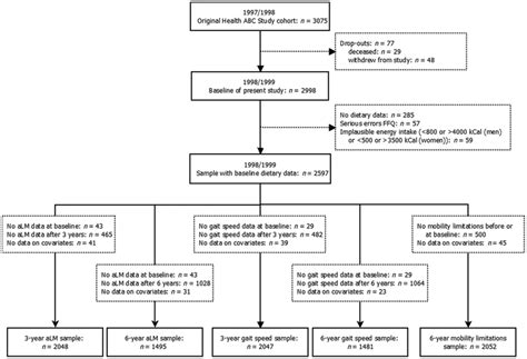 Flowchart Of Participants Included In The Statistical Analyses Alm