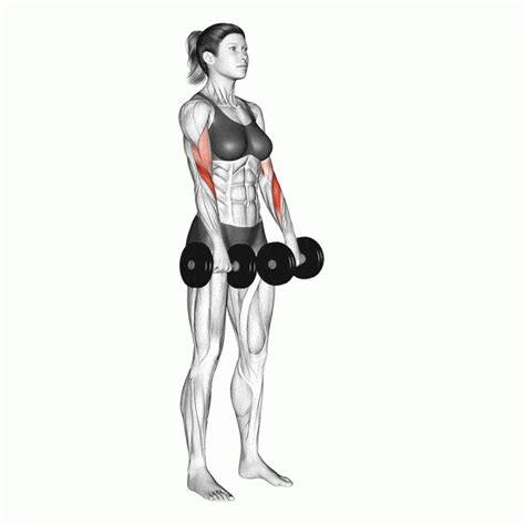 Biceps Curl Variations To Build Your Best Arms Ever Fitness Volt