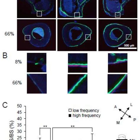 Modal Analysis Using Finite Element Methods To Determine The Resonant Download Scientific