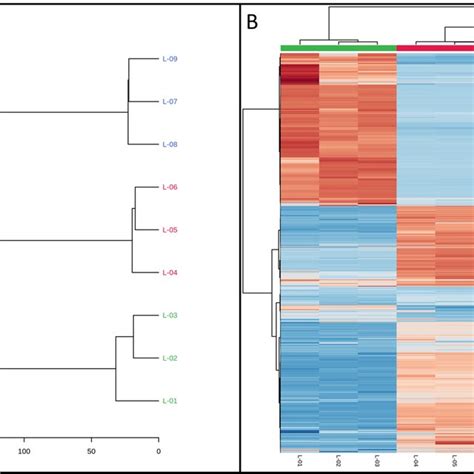 A Dendrogram And B Heat Map Confirming That The Samples Were Mainly