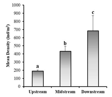 Relative Density Indm 2 Of Benthic Macrofaunal Community Download Scientific Diagram