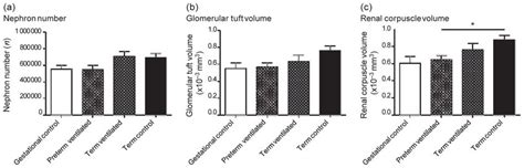 Nephron Number And Renal Corpuscle Volume Mean Nephron Number A
