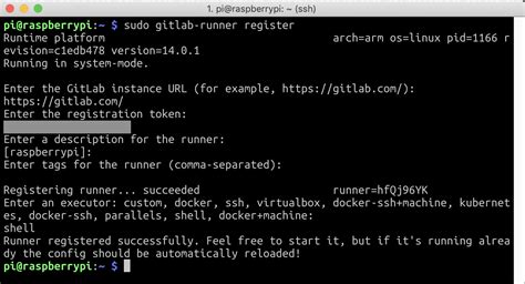 Gitlab Docker Raspberry Pi Mufidnew