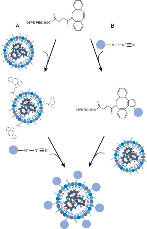 Investigated Methods For Preparation Of Targeted SiRNA LNPs A