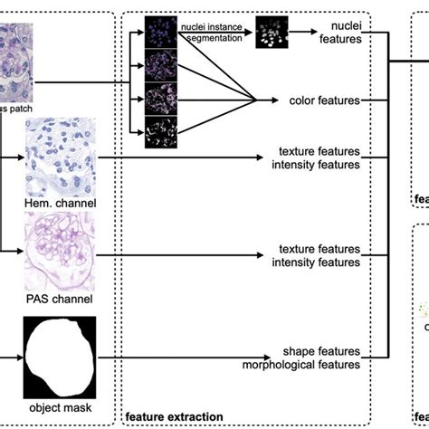 Schematic Representation Of The Proposed Pipeline Pre Processing
