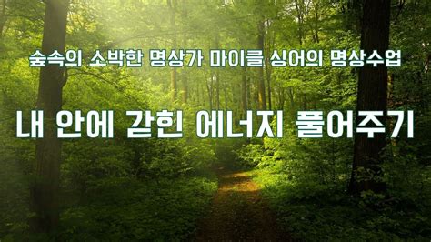 내면의 자유를 위한 놓아 보내기 연습내 안에 갇힌 에너지 풀어주기숲 속의 소박한 명상가 마이클 싱어의 명상수업 Youtube