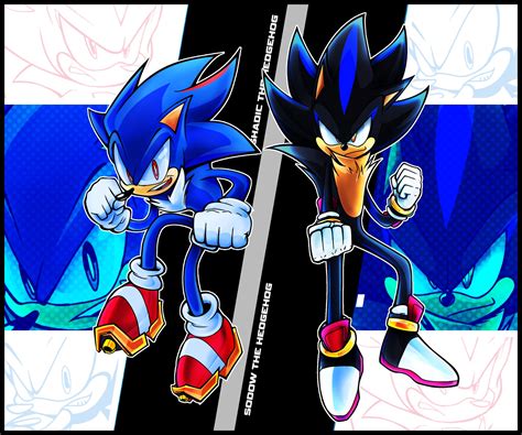 Sonic And Shadow Fusion Shadic