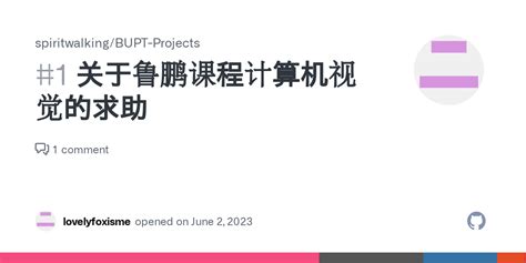 关于鲁鹏课程计算机视觉的求助 · Issue 1 · Spiritwalkingbupt Projects · Github