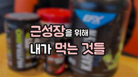 근성장을 위해 챙겨 먹는 것들 운동 전운동 중자기 전 Youtube