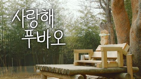 Sub [전지적 뿌딩이 시점] 푸바오 우리에게 사랑을 알려줘서 고마워 앞으로 푸야의 판생에 꽃길만 펼쳐지길💐 Youtube