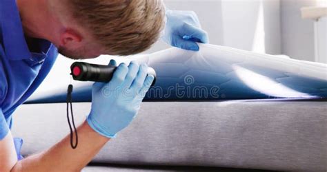 Exterminator Checking Bed Bug Treatment Stock Photo Image Of Indoor