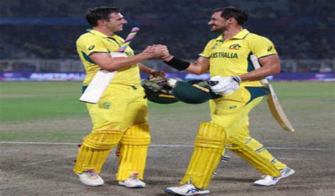 Australia Beat South Africa To Reach Cricket World Cup Final