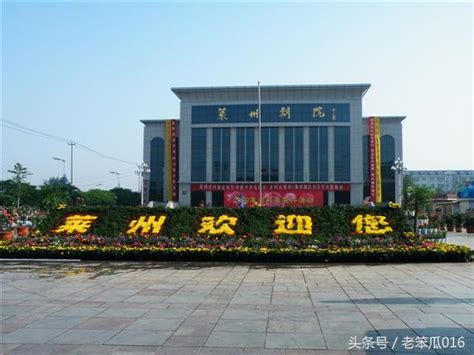 高考散文閱讀秘籍，抓住關鍵句，理順文章脈絡，劃定答題區域 每日頭條