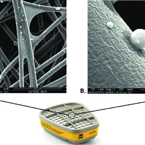 Micrograph Of The Polymeric Fibrous Material Surrounding The Activated Download Scientific