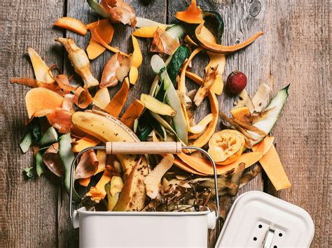 Comment Lancer Un Compost En Appartement Chilowé Média