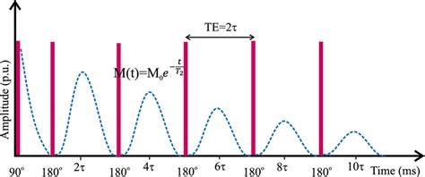 Basic Cpmg Sequence Used To Measure The Amplitude Of The Spin Echoes Download Scientific