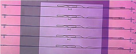 Top View Optical Microscope Image Of A Sample Containing Download Scientific Diagram