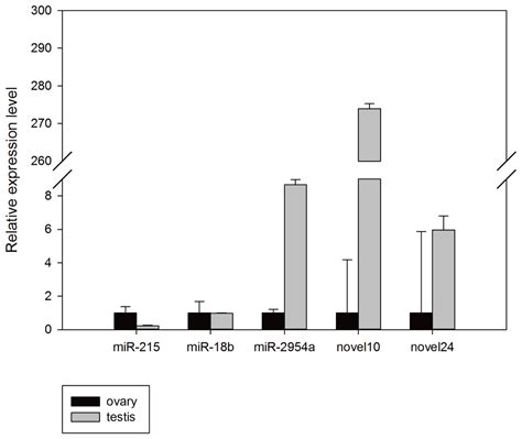 Mirnaome Expression Profiles In The Gonads Of Adult Melopsittacus