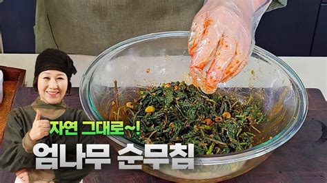 자연에서 채취후 건강하게 만들어 보세요 엄나무 순무침 Youtube