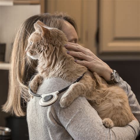 Assisi Loop 10cm Manual Assisi Vet Partners