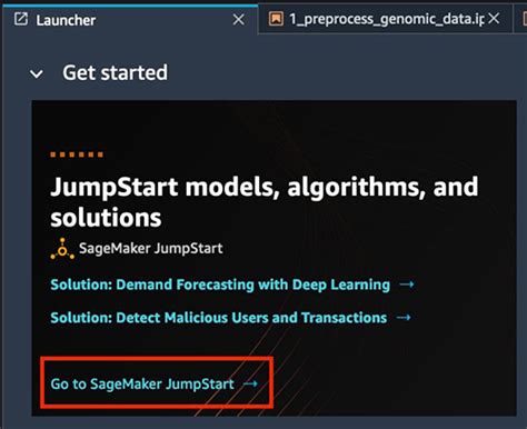 Predict Lung Cancer Survival Status Using Multimodal Data On Amazon
