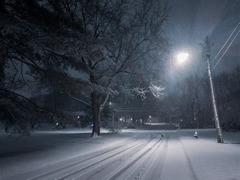 Бесплатные стоковые фото на тему Outdoor 4k безмятежный голые деревья городской деревья