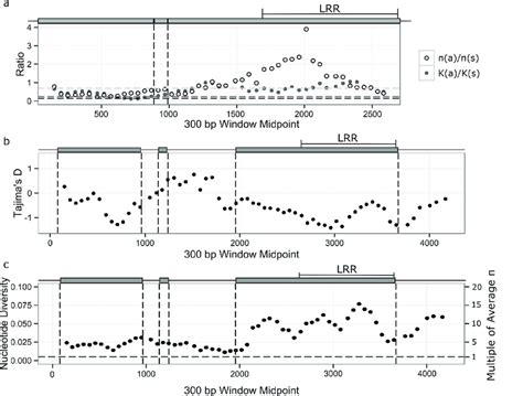 Sliding Windows Of Within Species Polymorphism And Divergence Between Download Scientific