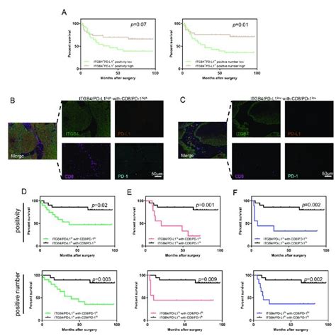 Correlation Analysis Based On Mihc The Spearman Correlation Download Scientific Diagram