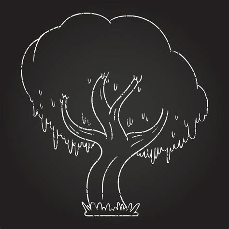 Tree Chalk Drawing 13110306 Vector Art At Vecteezy