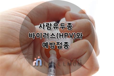 사람유두종바이러스hpv와 예방접종 네이버 블로그