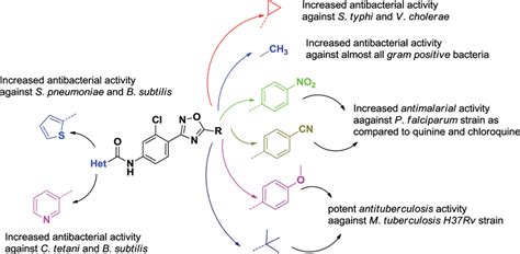 Structural Activity Relationship Sar Download Scientific Diagram