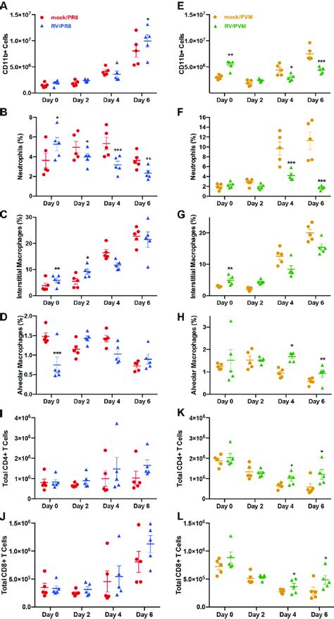 Flow Cytometry Analysis Of Innate Immune Cell Populations In The Lungs