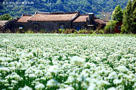 桃園一日遊大溪旅遊景點完整攻略懶人包 愛伯特吃喝玩樂全記錄