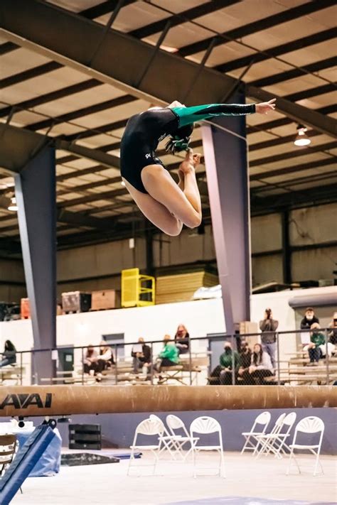 Paige Yu Captured The Ohsaa Gymnastics All Around Crown This Season